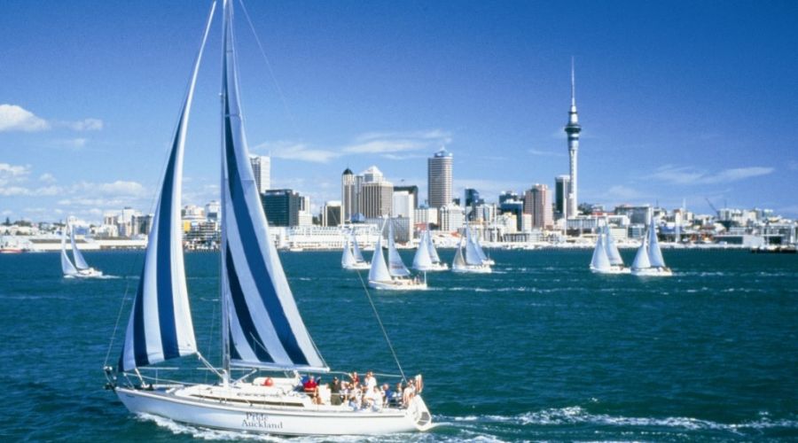 Auckland Harbour Sailing | NZ Tourism Tours ️