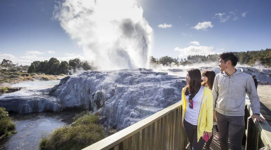 Te Puia Guided Tour Rotorua | NZ Tourism Tours ️