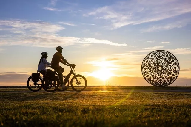 BEST Napier Tours & Day Trips, Attractions | NZ Tourism