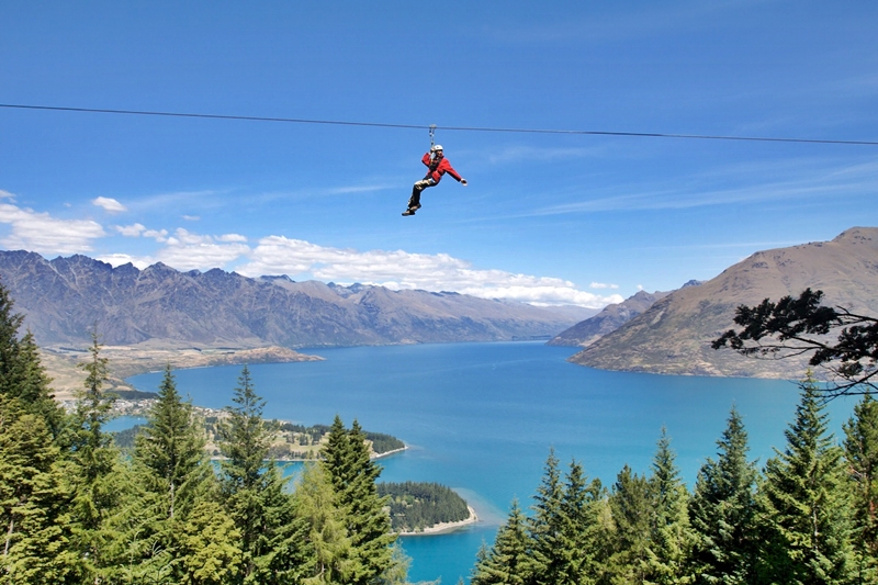 Treewalk Altitude Ziplining Rotorua | NZ Tourism Tours ️