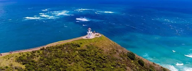 Cape Reinga Day Tour from Paihia | NZ Tourism Tours ️