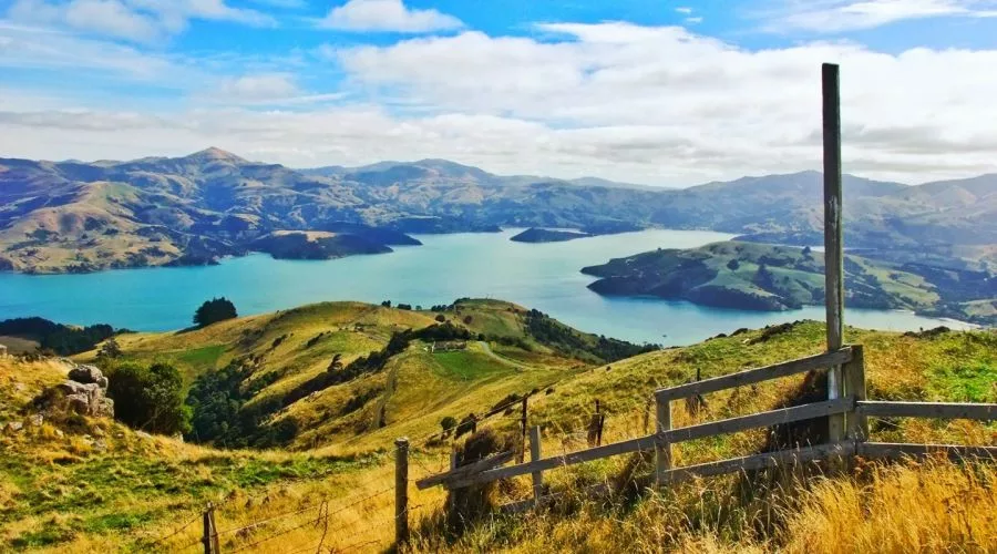 Akaroa Nature Tour - Pohatu Penguins - 4WD Safari | NZ Tourism Tours ️