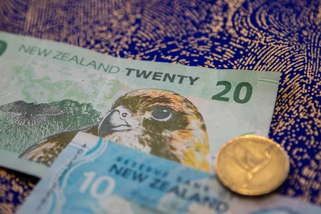 New Zealand Currency - Kiwi Dollar | NZ Tourism Tours