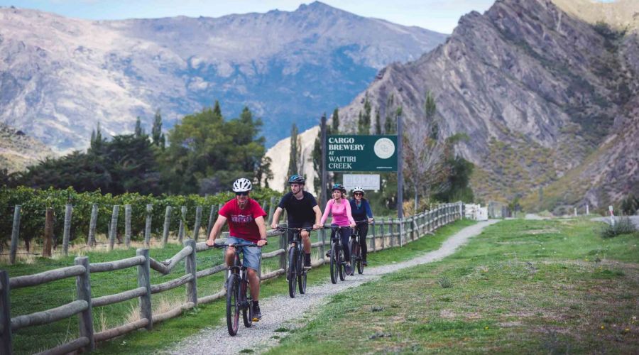 Bike the Bridges Arrow River Trail - Supported Tour: A Scenic Cycling Adventure | NZ Tourism Tours ️