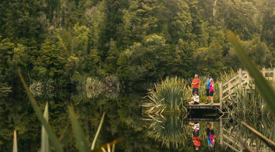 Lake Matheson Nature Tour Guided Walk | NZ Tourism Tours ️