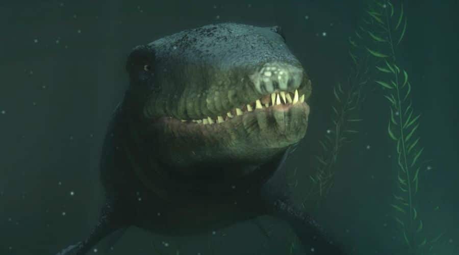 Time Tripper Underwater Cinematic Experience | NZ Tourism Tours ️