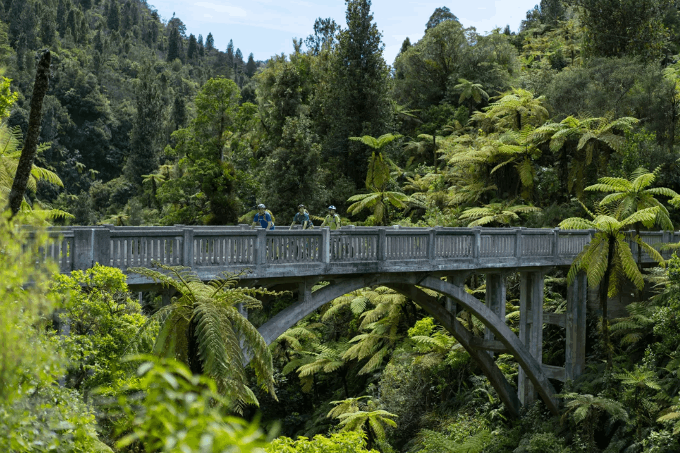 BEST 10 Things to Do in Whanganui National Park | NZ Tourism ️