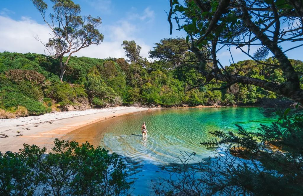 Orbit Restaurant Sky Tower Auckland | NZ Tourism Tours ️